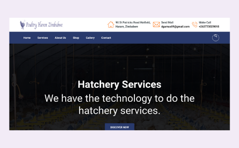 Nigel Chibaya | Software Developer